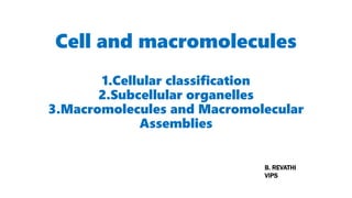 Cell and macromolecules | PPTX