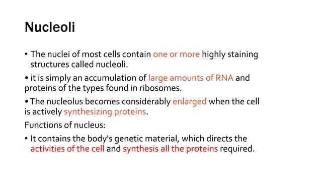 Cell and macromolecules | PPTX