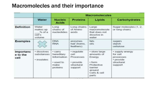 Cell and macromolecules | PPTX