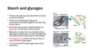 Cell and macromolecules | PPTX