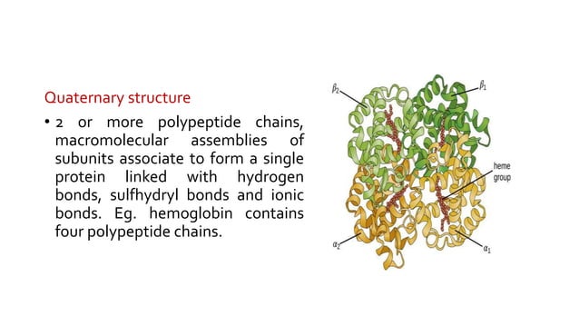Cell and macromolecules | PPTX