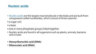 Cell and macromolecules | PPTX