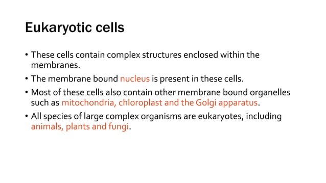 Cell and macromolecules | PPTX