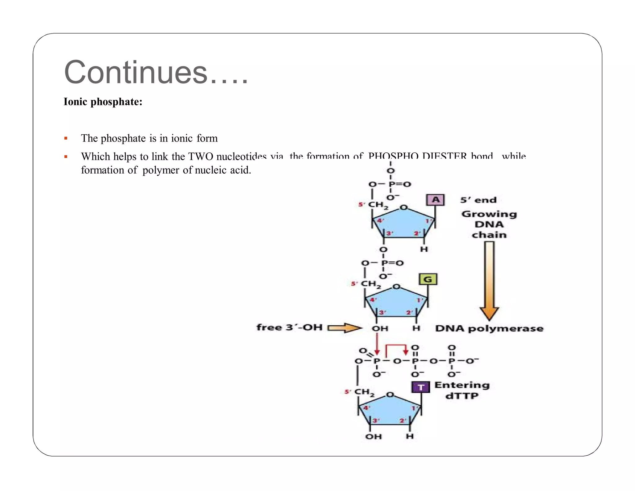 cell and molecular biology final.pdf