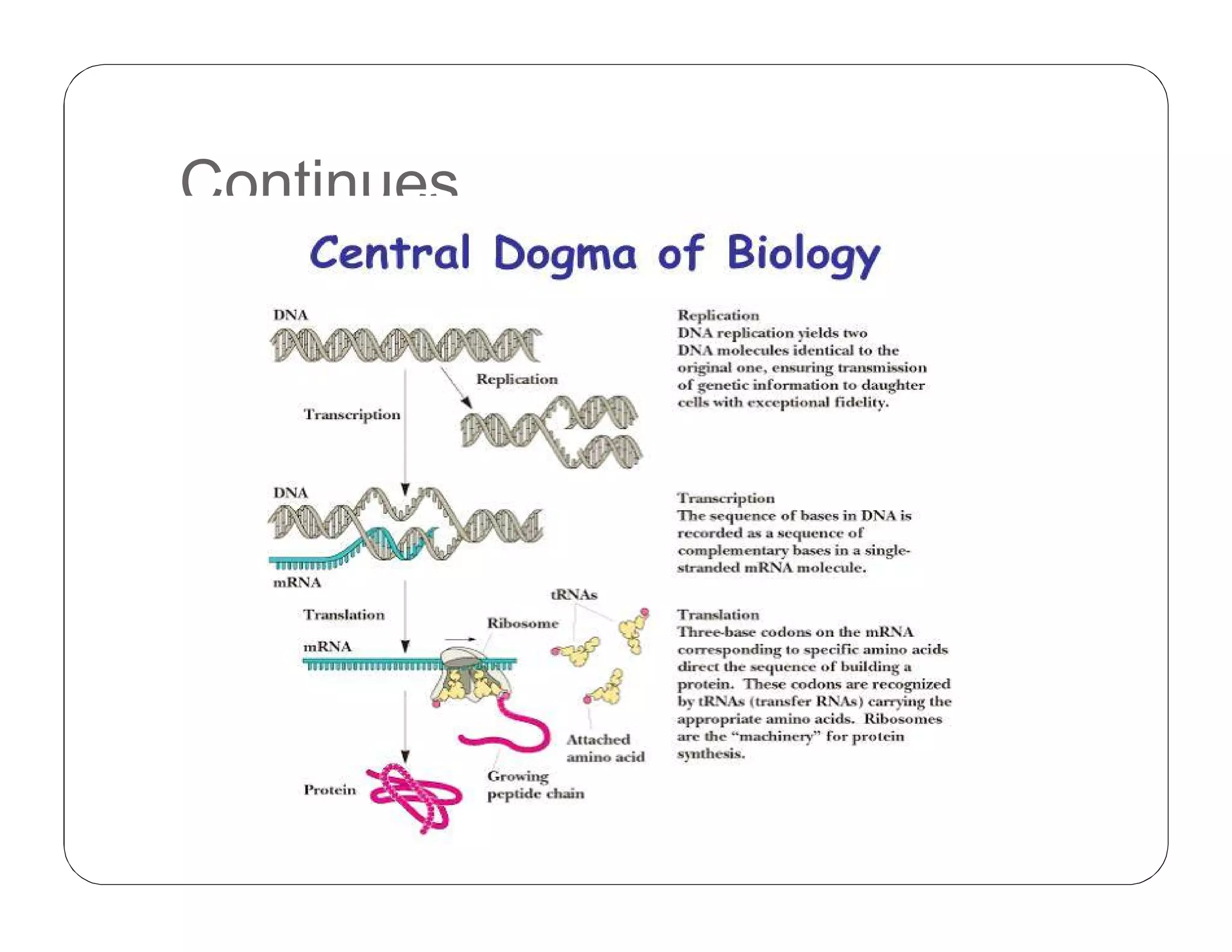 cell and molecular biology final.pdf