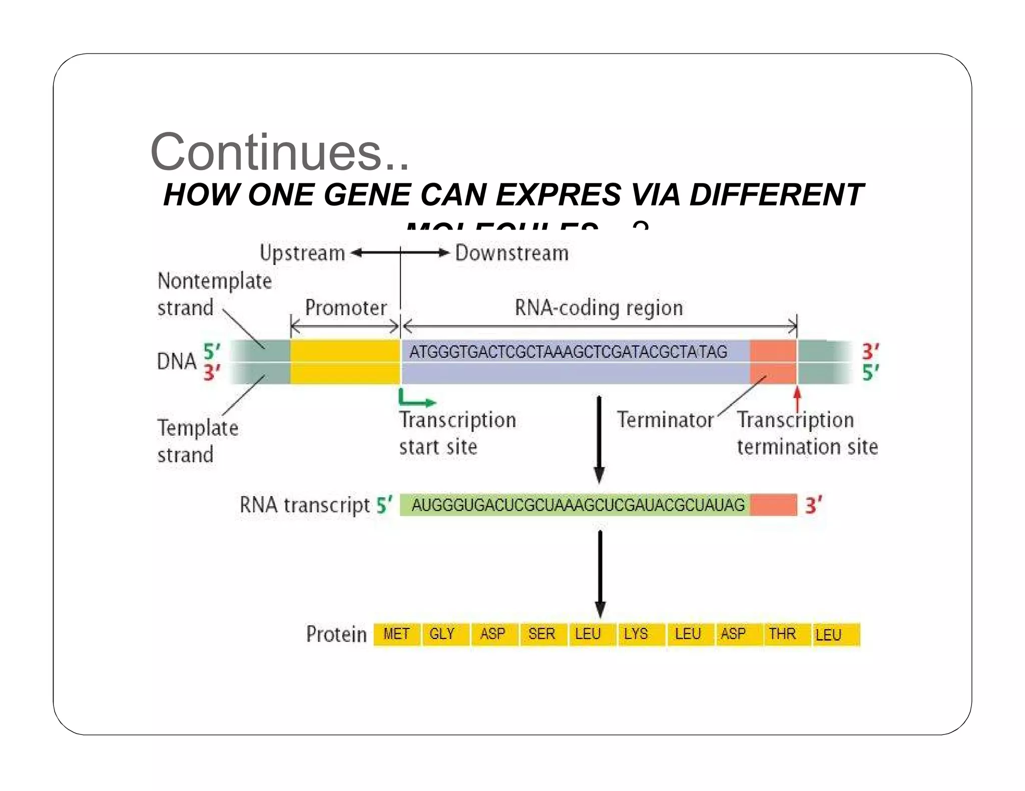 cell and molecular biology final.pdf