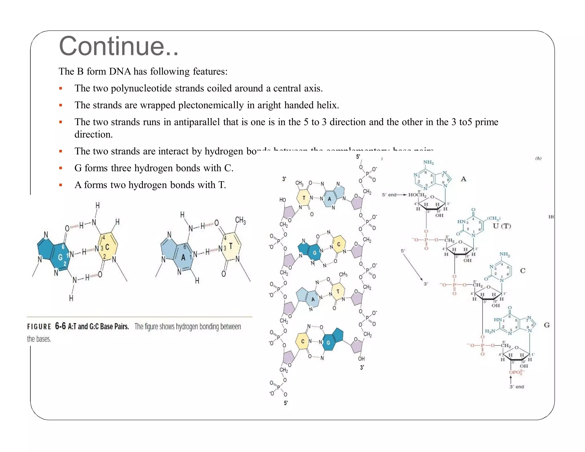 cell and molecular biology final.pdf