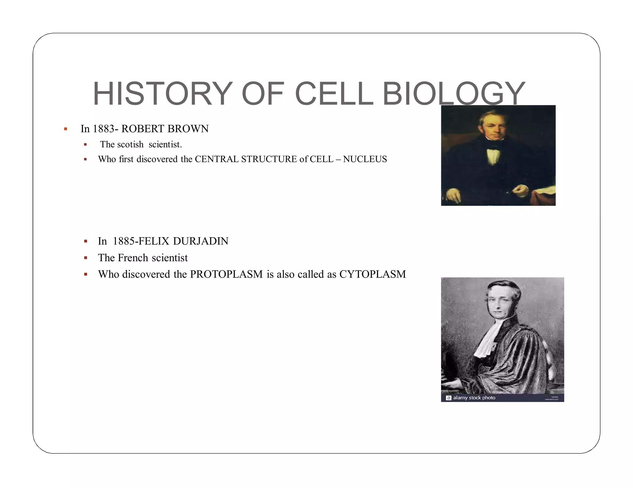 cell and molecular biology final.pdf
