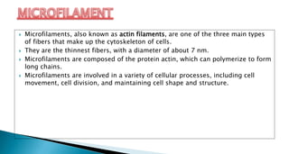 cell and molecular biology PPT.pptx
