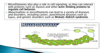 cell and molecular biology PPT.pptx
