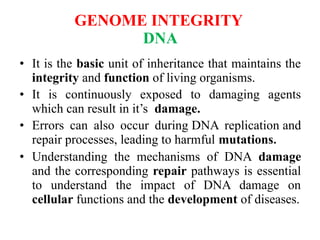 Cell and Molecular Biology, DNA integrity S.pptx