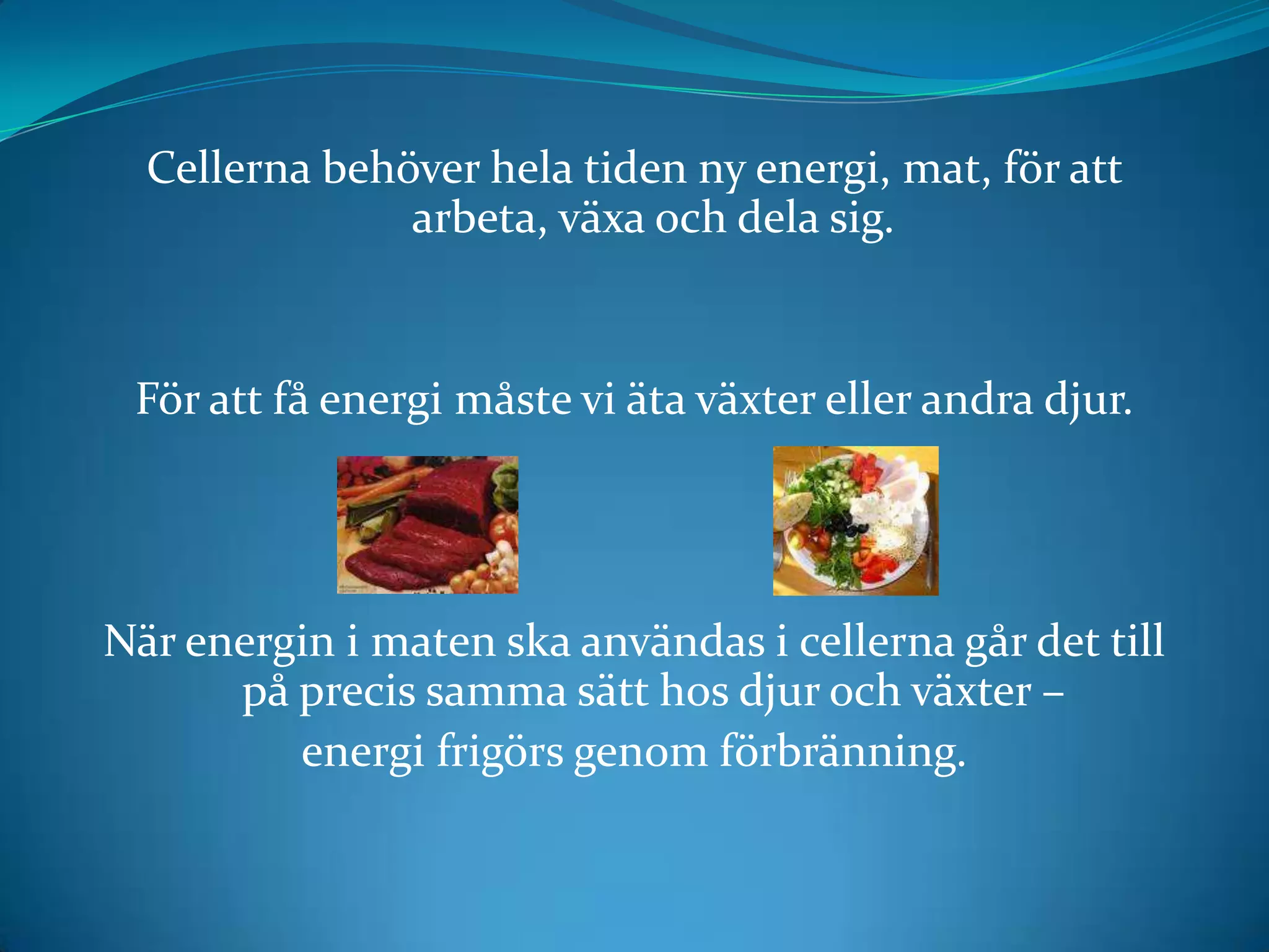 Cellandning förbränning | PPTX