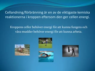 Cellandning förbränning | PPTX