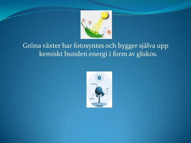 Cellandning förbränning | PPTX