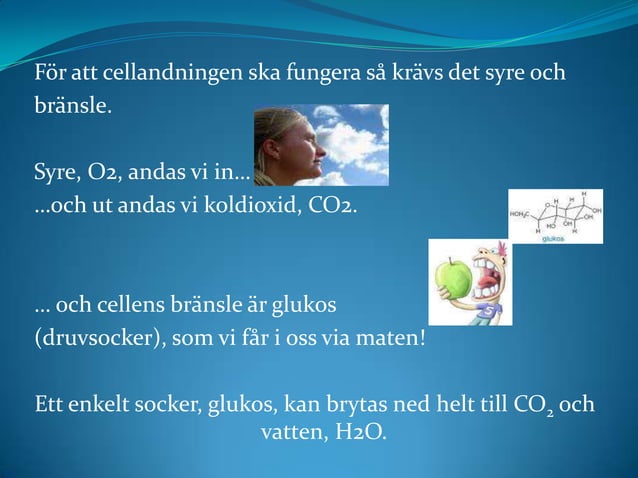 Cellandning förbränning | PPTX