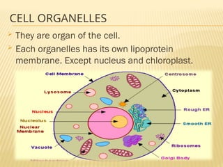 Comprehensive Overview of Cell Theory and Cellular Structure | PPTX