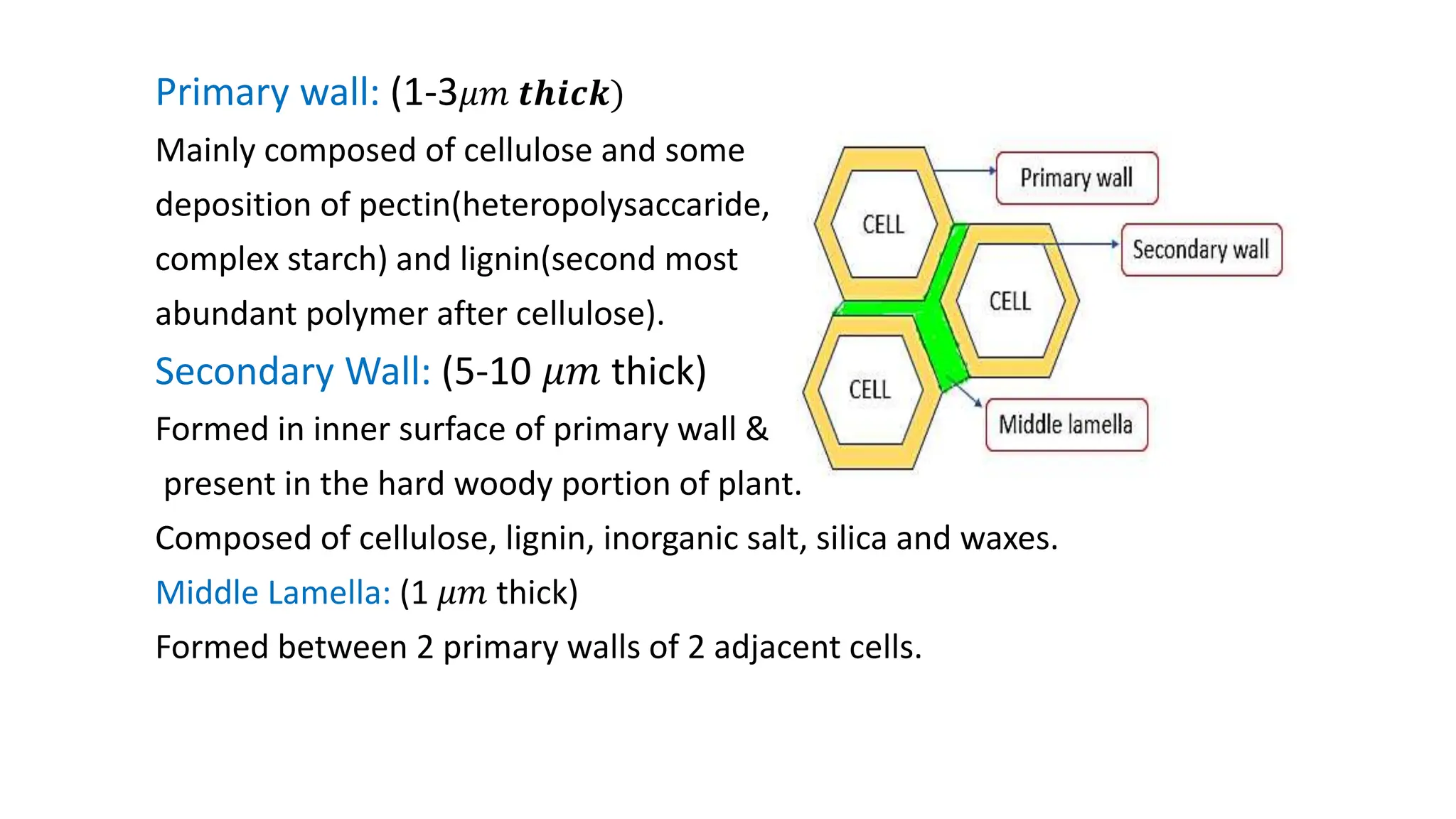 CELL AND ORGANELLES, cell wall . Take a look at description below also ...