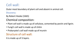 CELL AND ORGANELLES, cell wall . Take a look at description below also ...