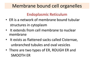 Cell and Organelles PPT for class.pptx
