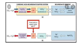 Cell and ph lec 37 | PPTX | Chemistry | Science