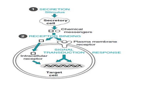 Cell and ph lec 37 | PPTX | Chemistry | Science
