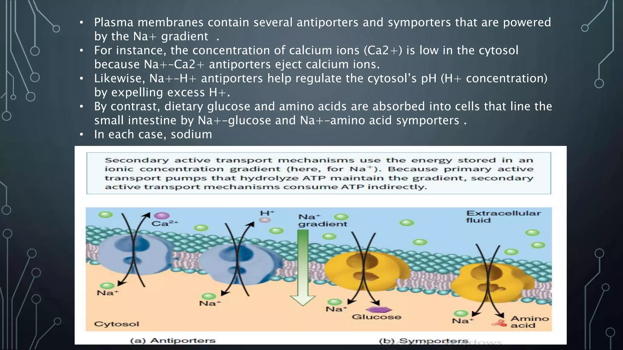 Cell and their function.pptx
