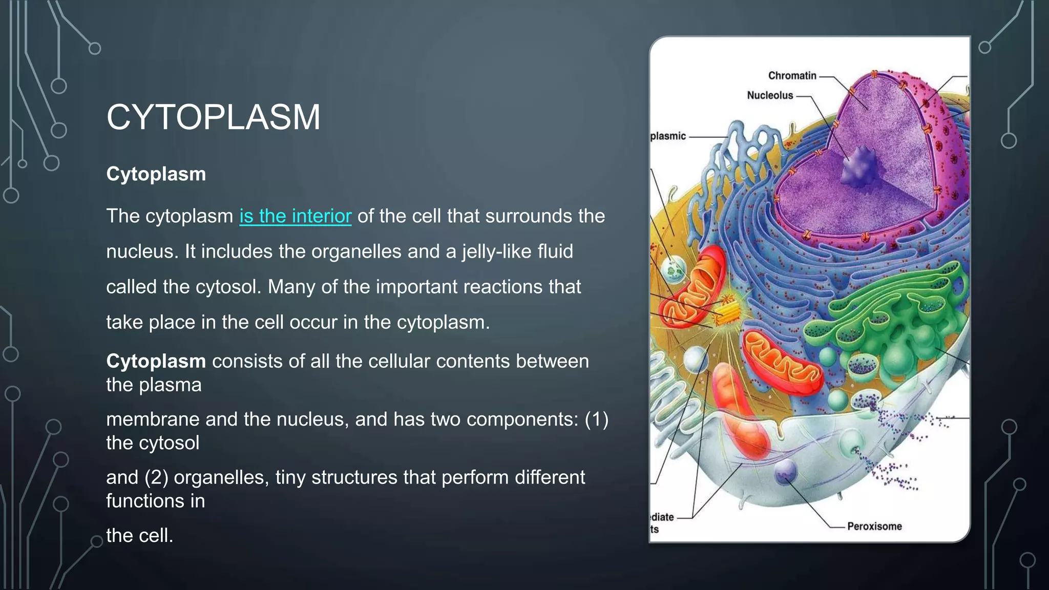 Cell and their function.pptx