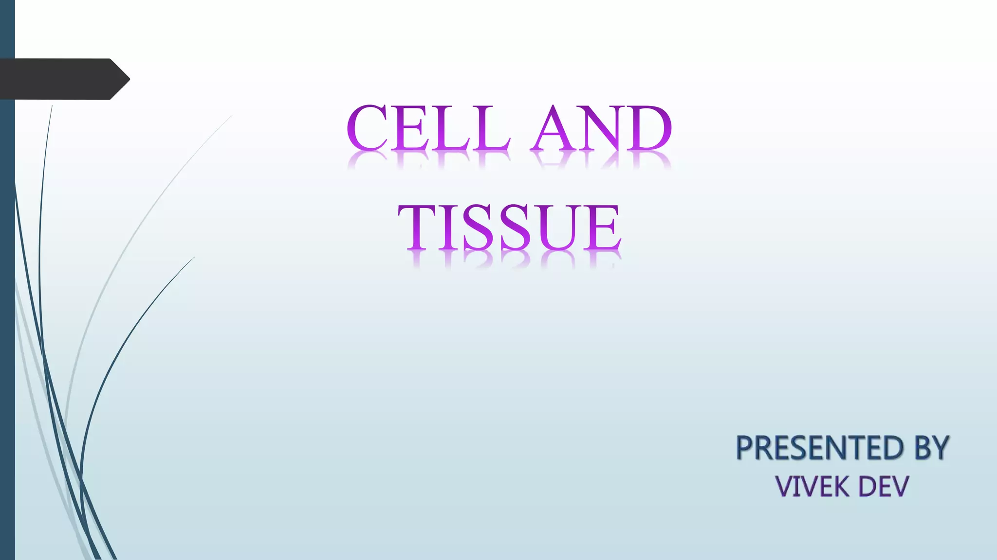 Cell and tissue | PPTX