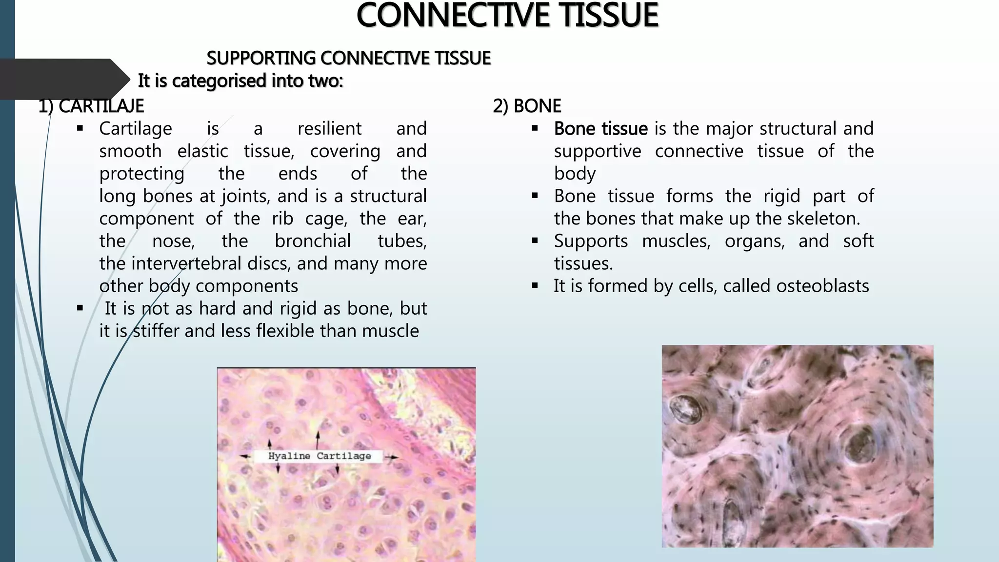 Cell and tissue | PPTX