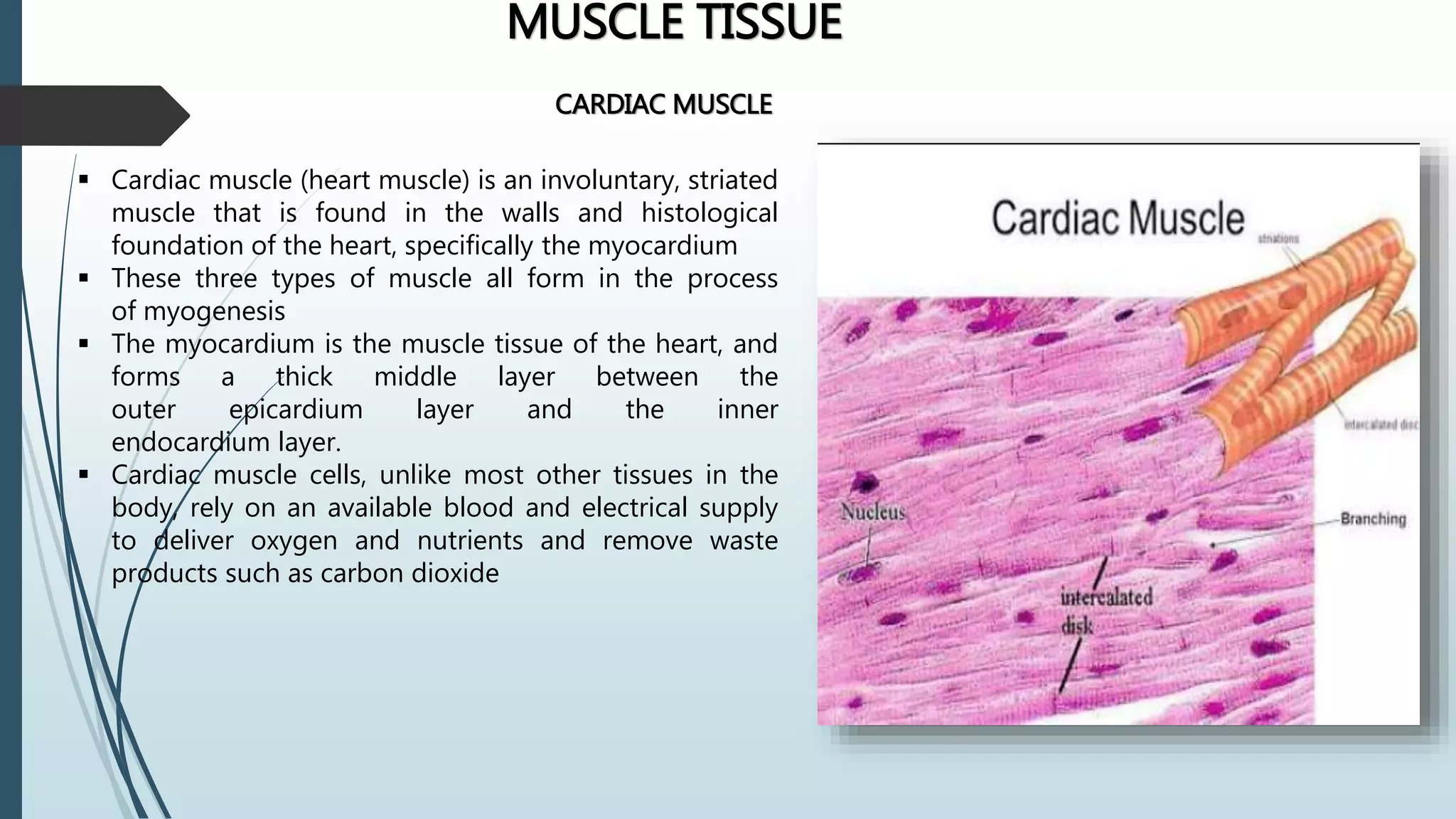 Cell and tissue | PPTX