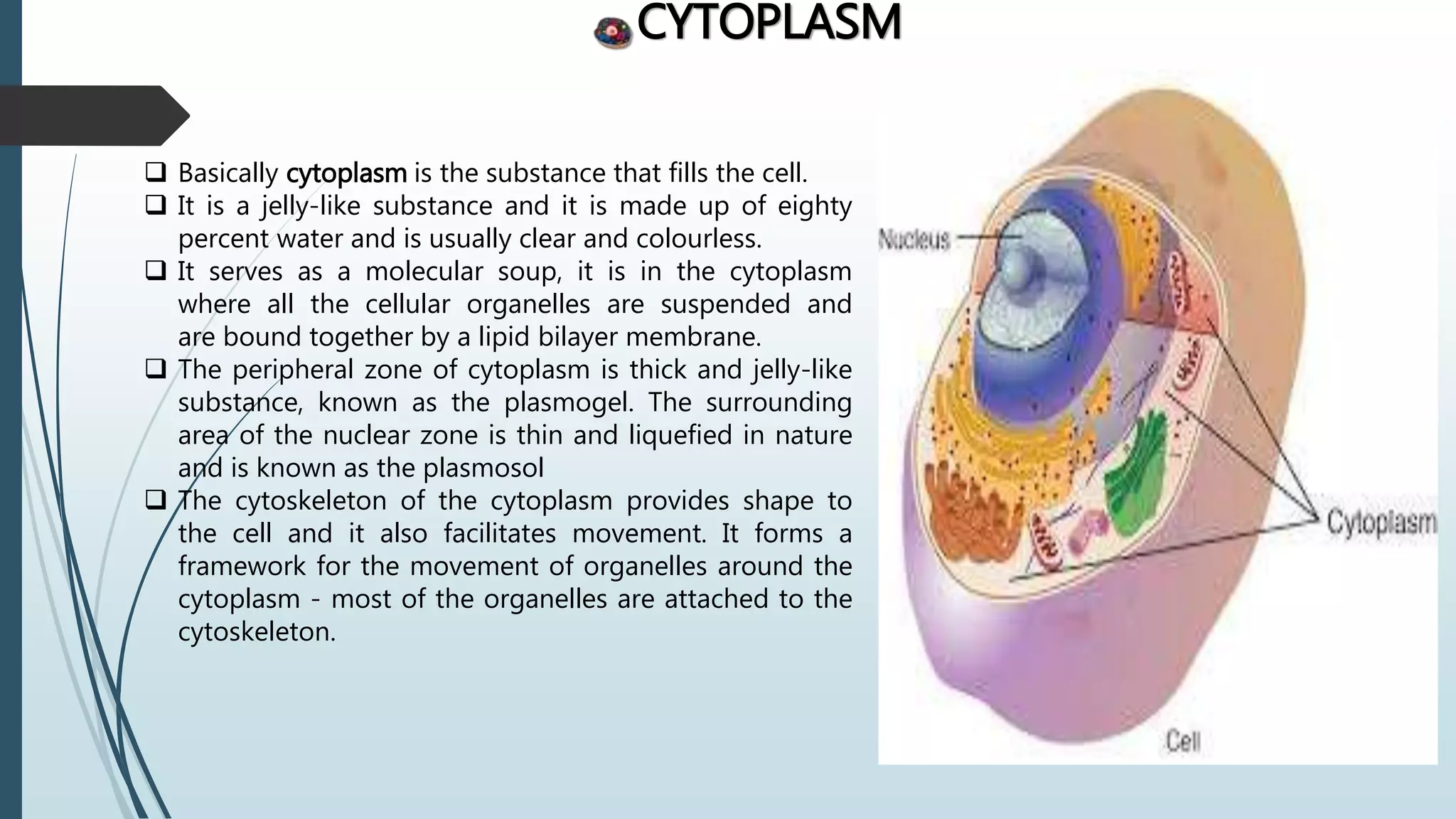 Cell and tissue | PPTX