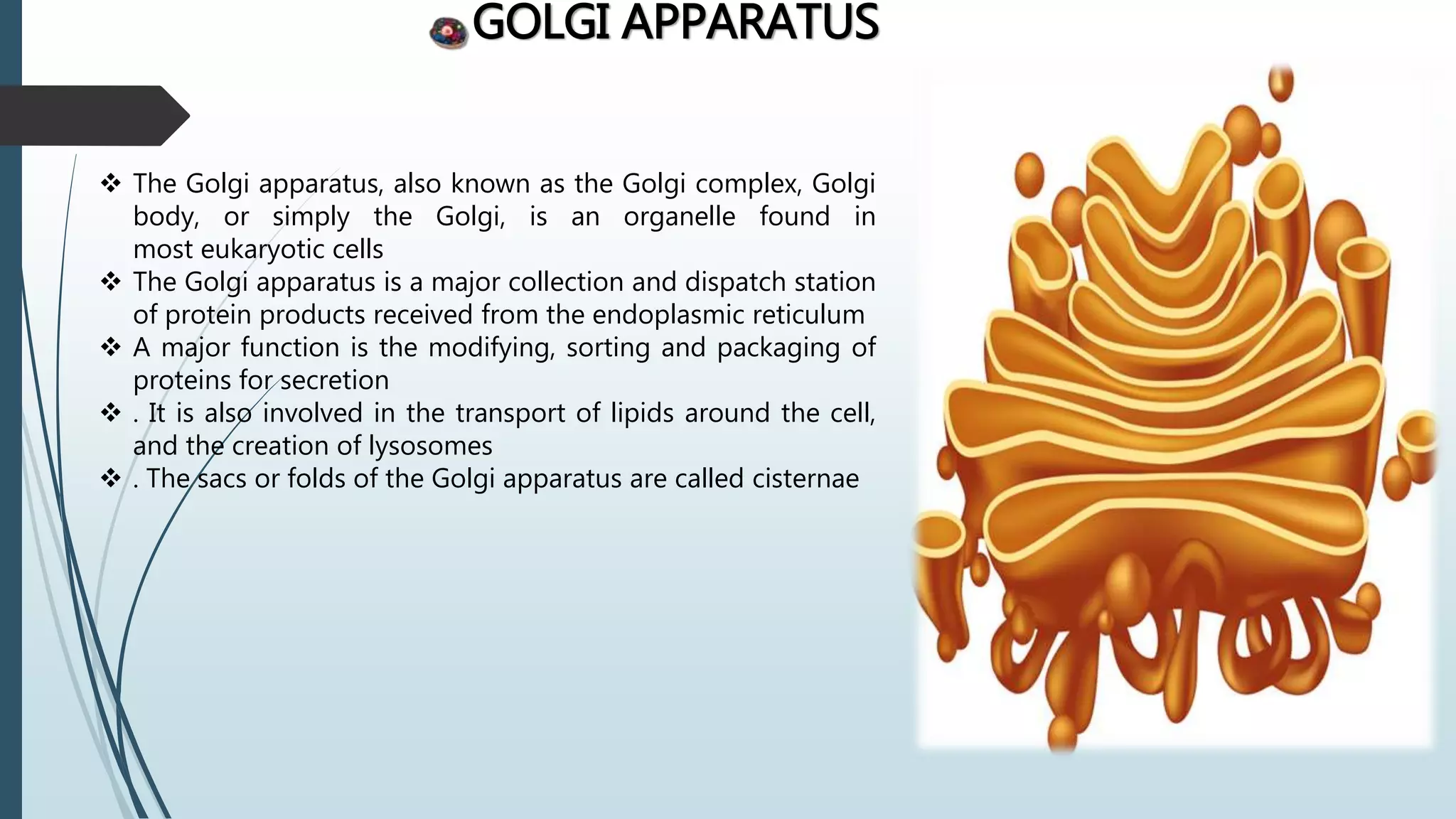 Cell and tissue | PPTX