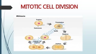 Cell and tissue | PPTX