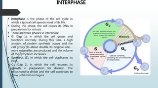 Cell and tissue | PPTX