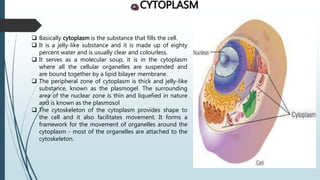 Cell and tissue | PPTX