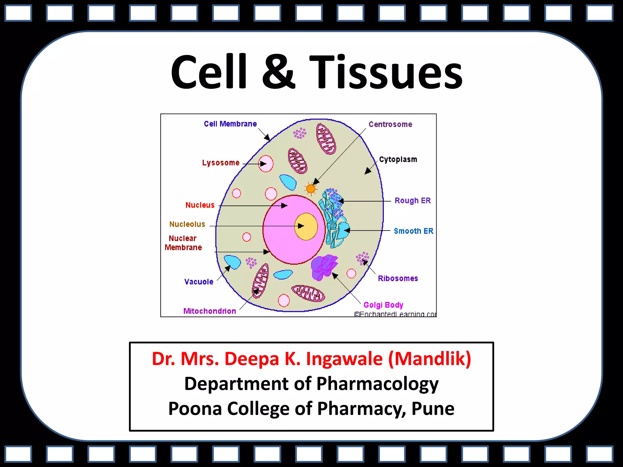 Cell and tissue | PPTX