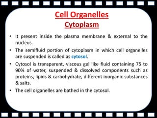 Cell and tissue | PPTX