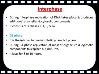 Cell and tissue | PPTX