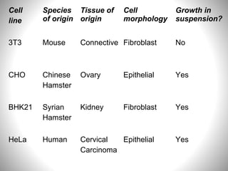 CELL & TISSUE CULTURE | PPT