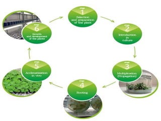 Cell and tissue culture | PPTX