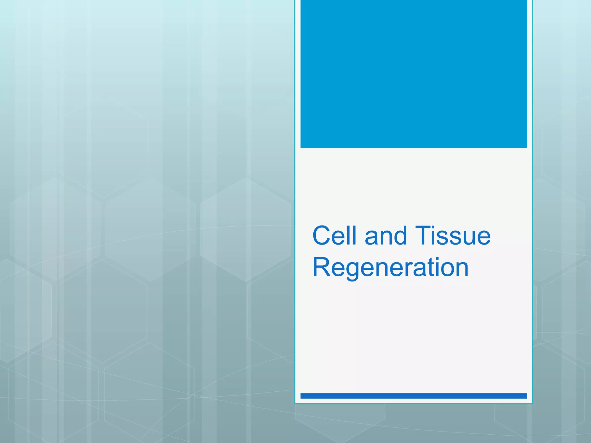Cell and tissue regeneration | PPTX