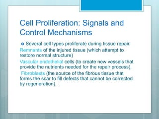 Cell and tissue regeneration | PPTX