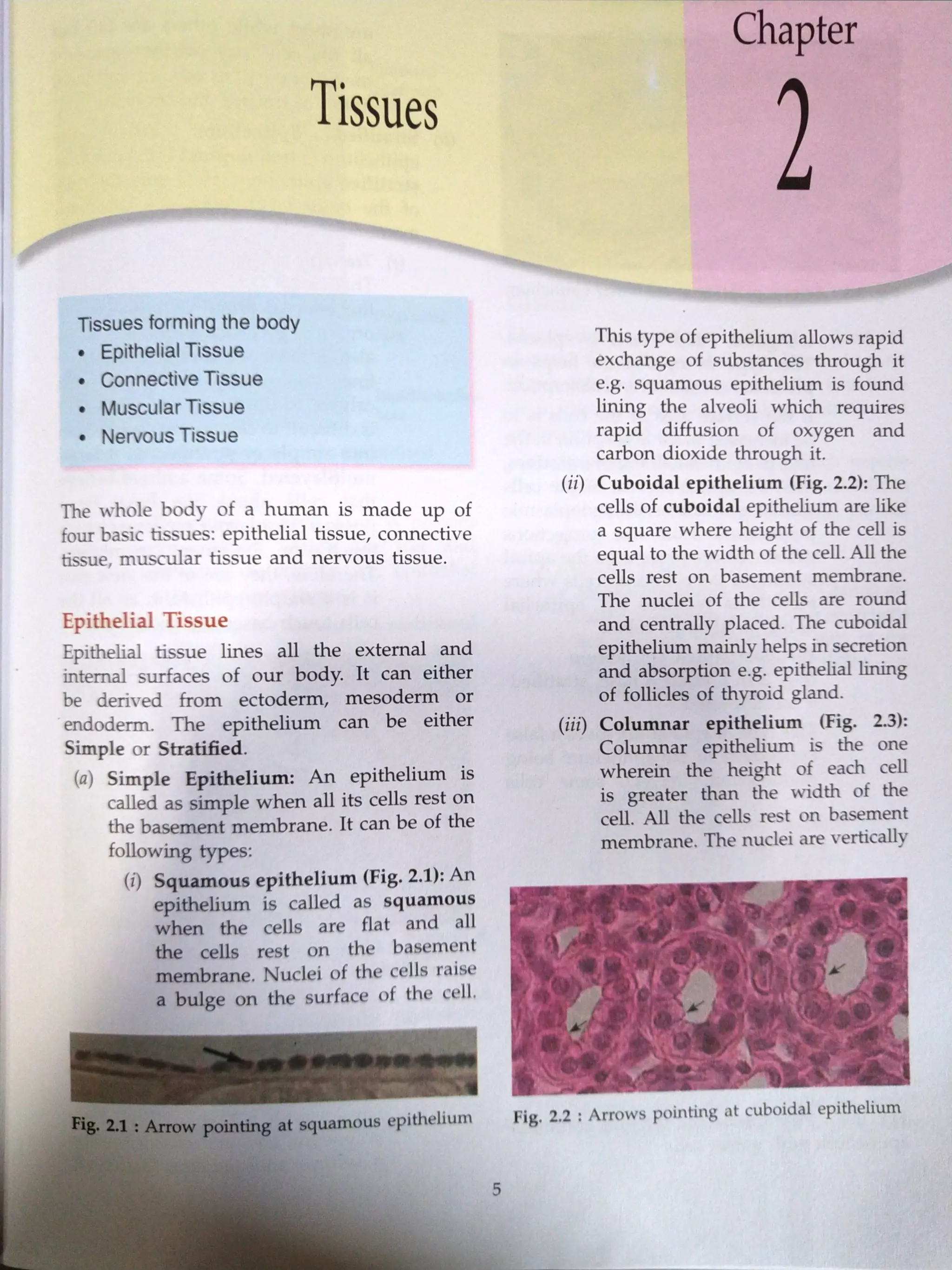Cell structure and function | PDF