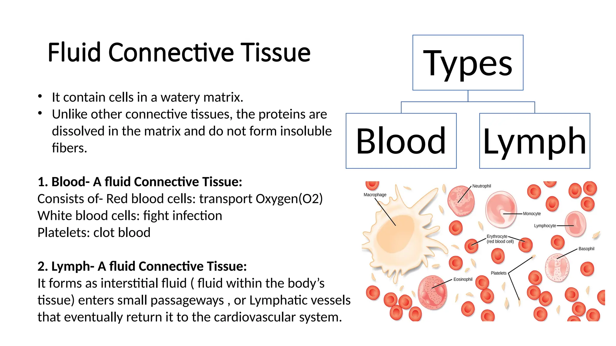 CELL AND TISSUE STRUCTURE AND ORGANIZATION | PPTX