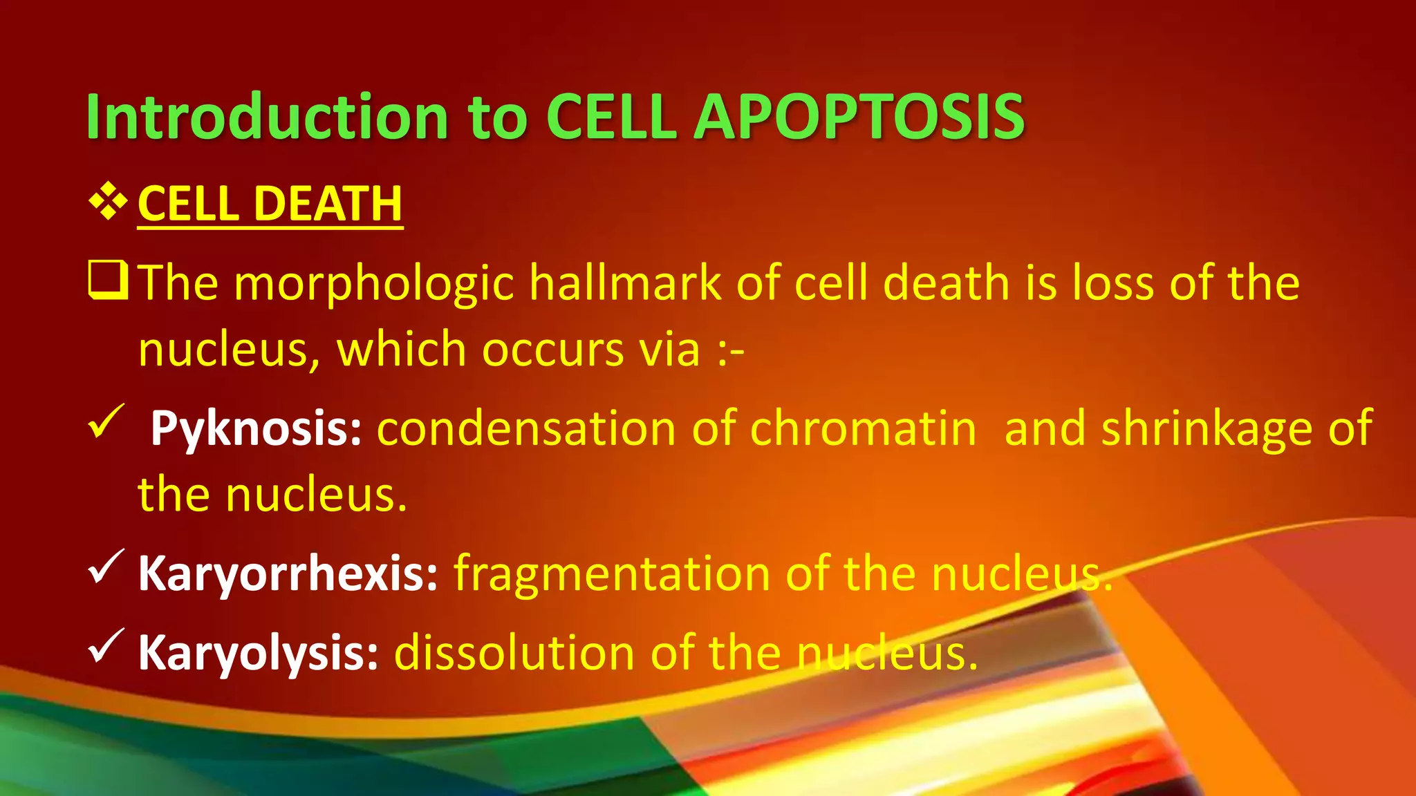 Cell apoptosis '' CELL DEATH'' | PPT