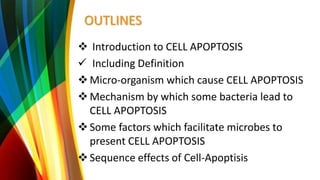Cell apoptosis '' CELL DEATH'' | PPTX