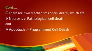 Cell apoptosis '' CELL DEATH'' | PPT