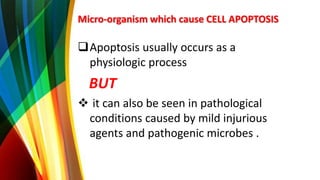 Cell apoptosis '' CELL DEATH'' | PPTX