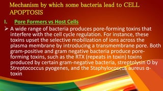 Cell apoptosis '' CELL DEATH'' | PPTX