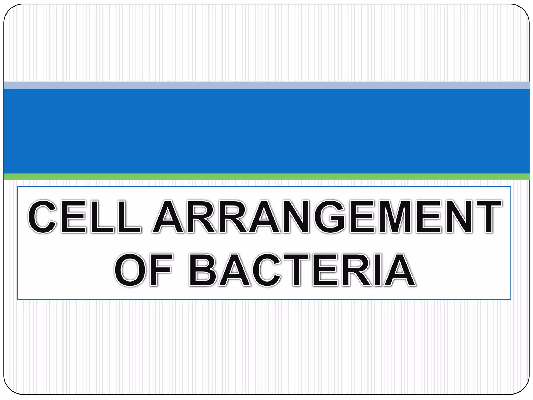 Cell Arrangement of Bacteria | PPTX